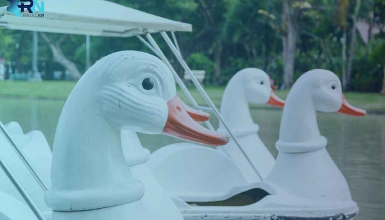 Explorando RN: Passeio de Pedalinho para relaxar nas lagoas! - Natal RN